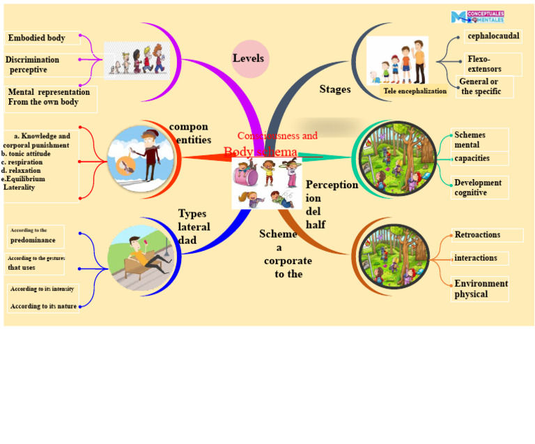 Mind Map Body Schema | PDF