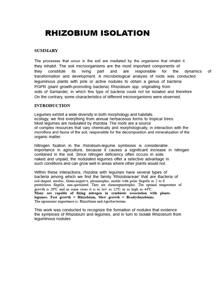 Isolation of Rhizobium SP | PDF | Biology | Horticulture