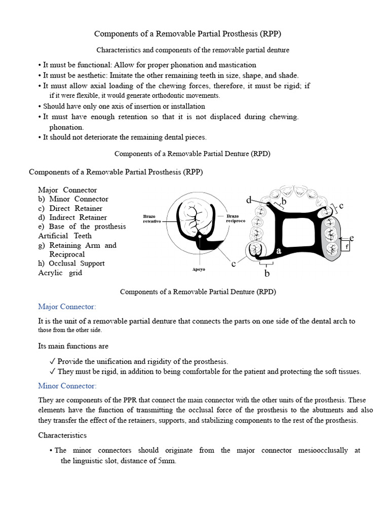 Components of A Removable Partial Denture | PDF | Dentures | Mouth