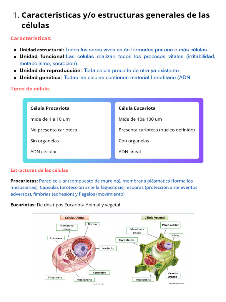 Estructura y Función Celular: Guía Completa | PDF | Respiración celular ...