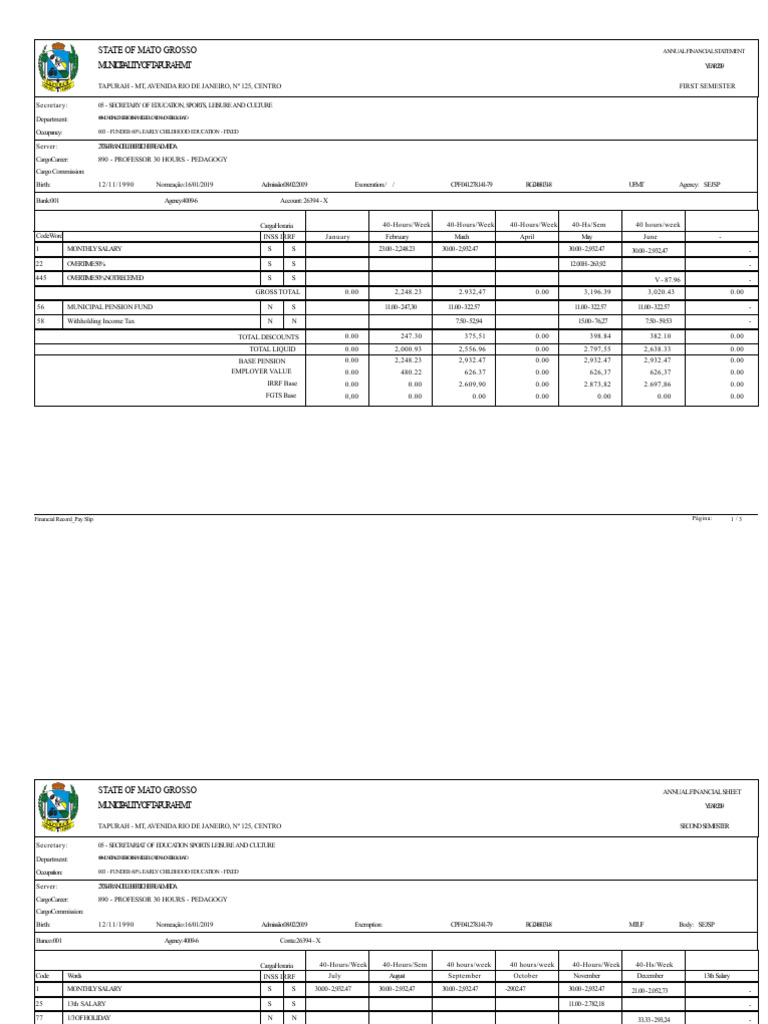 Financial Statement Paystub | PDF | Demographic Economics | Factor ...