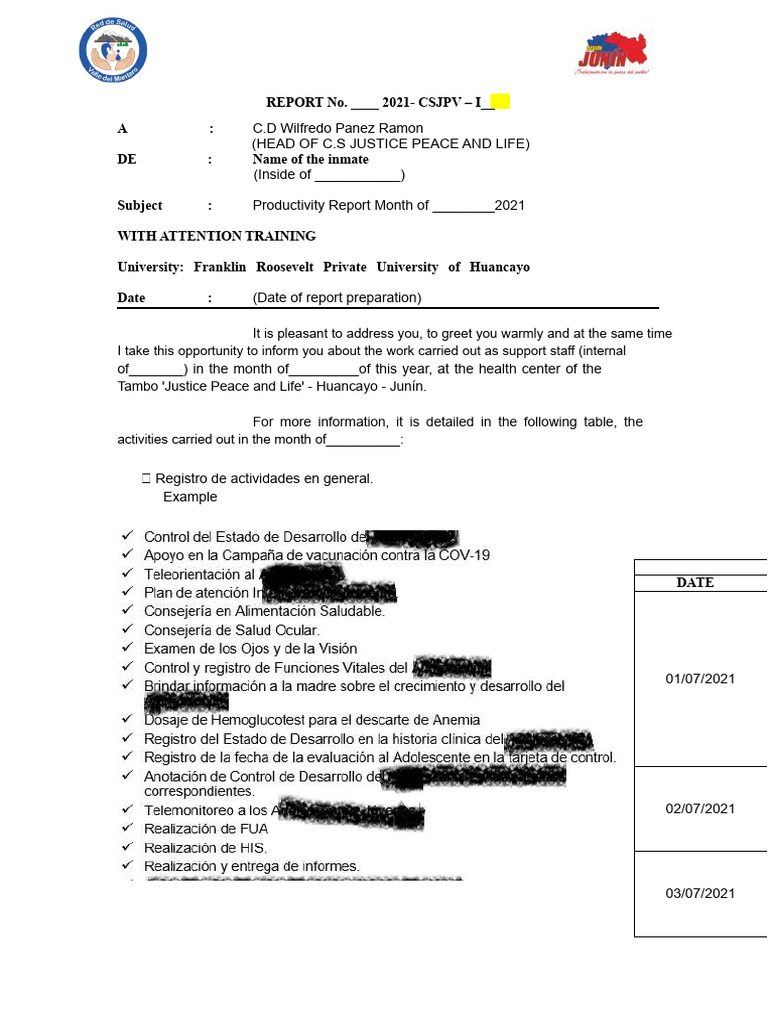 Productivity Report Template | PDF
