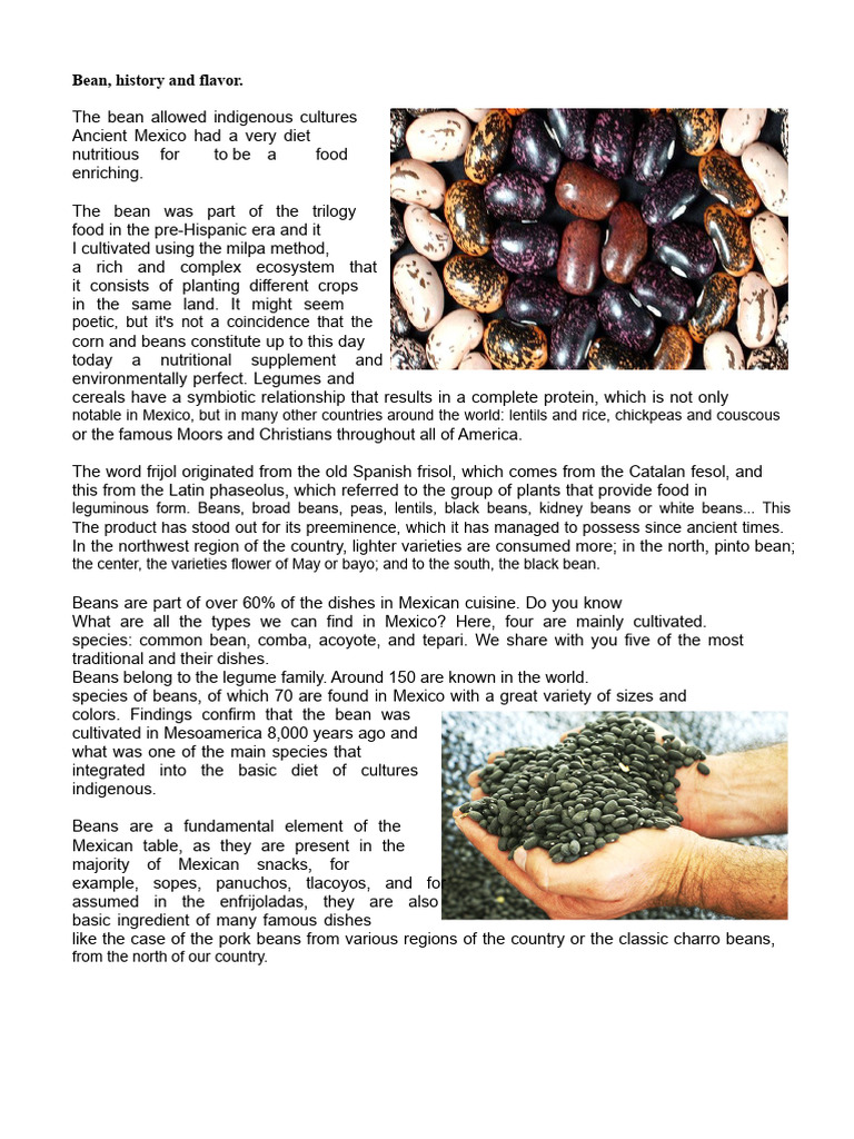 Bean History Source | PDF | Bean | Phaseolus Vulgaris