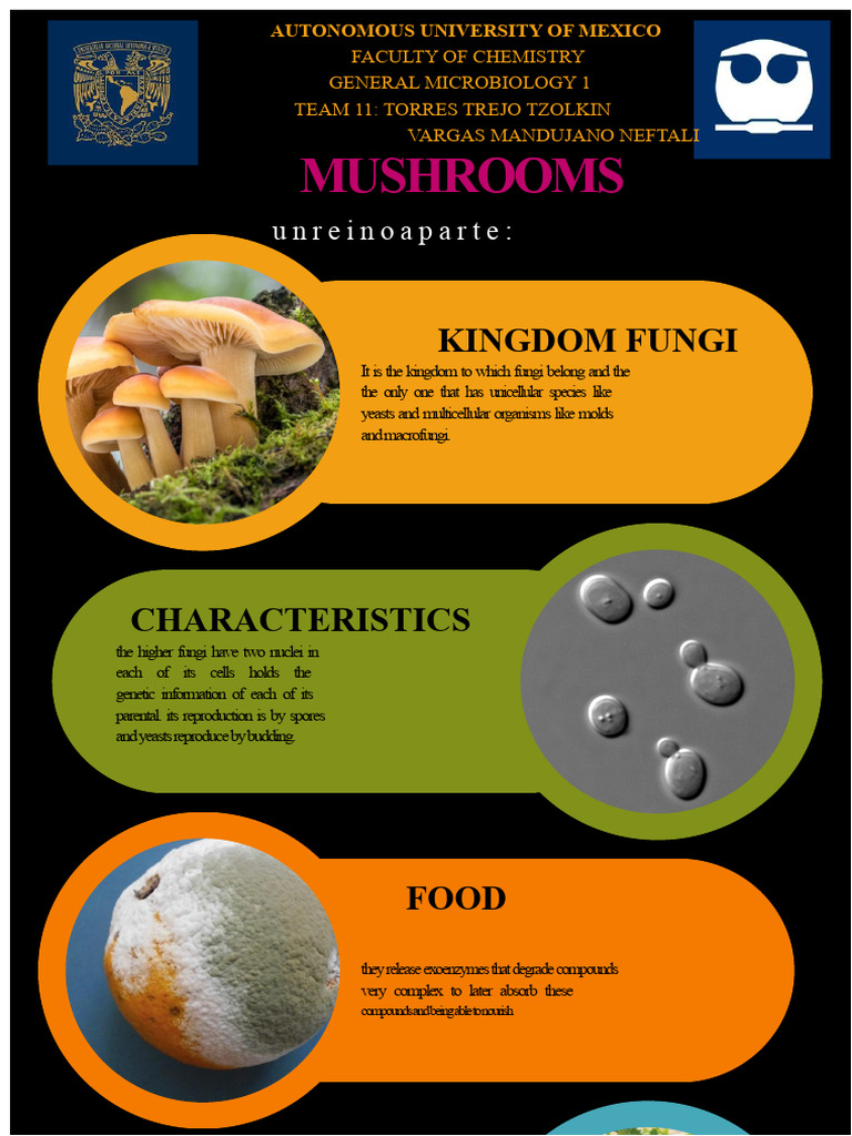 Overview of Fungi in Microbiology | PDF