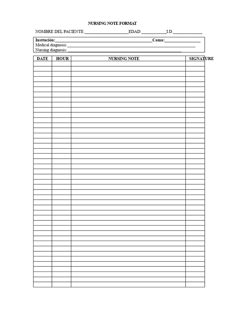 Nursing Note Format | PDF