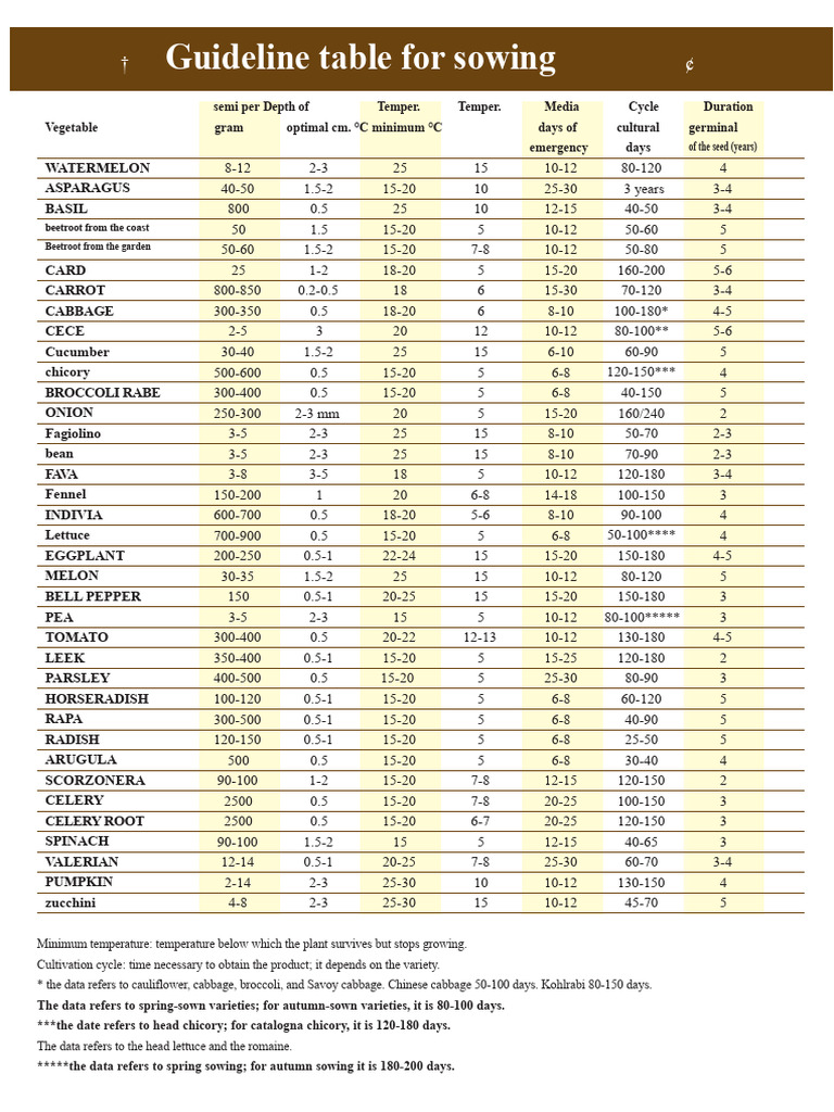 Vegetable Sowing Guidelines and Temperatures | PDF | Cabbage | Vegetables