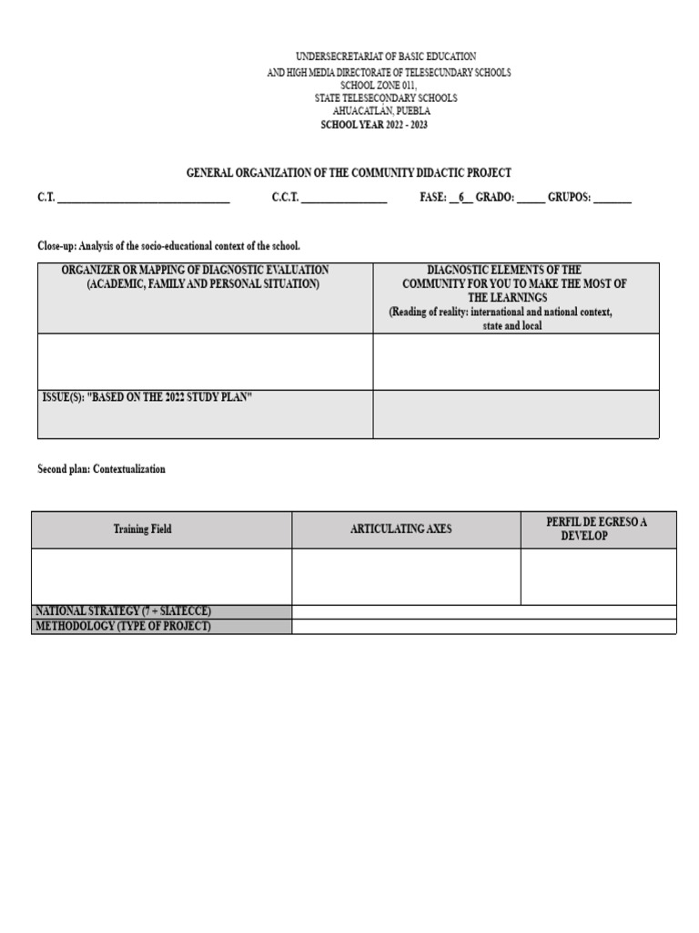 Analytical Program Format Pdf Learning Cognition