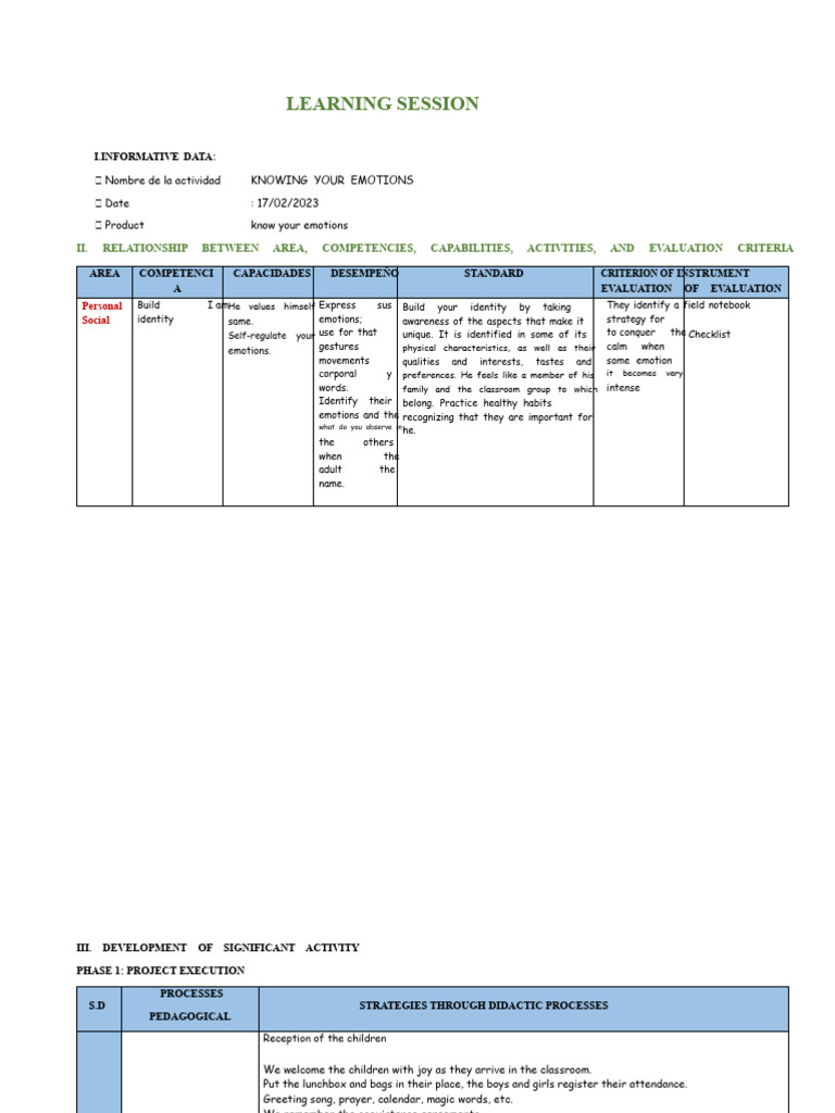 Personal Social Learning Session | PDF | Lava | Emotions
