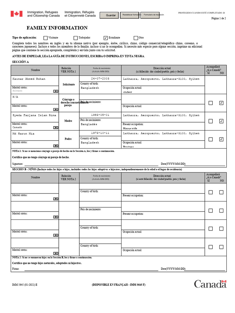 Formulario de Información Familiar | PDF