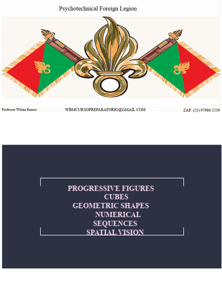 Psychotechnical Test Preparation Guide | PDF | Triangle | Matrix ...