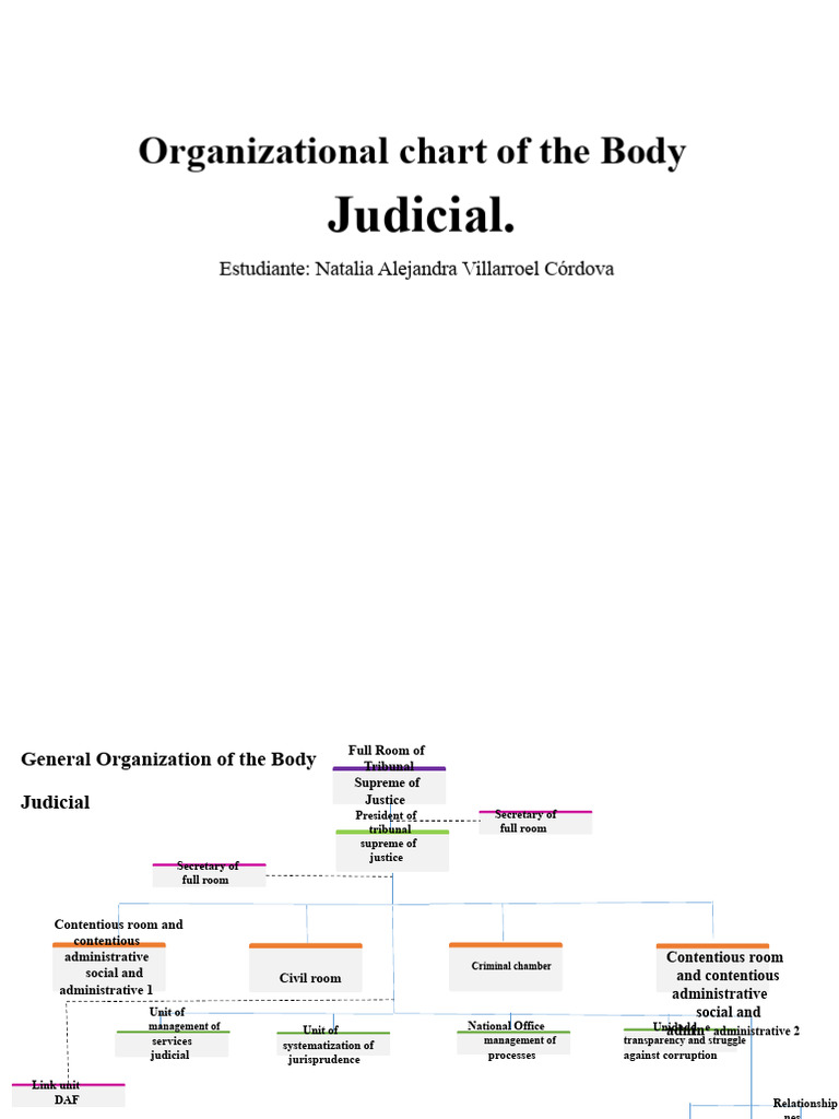 Organigram of The Judicial Body | PDF | Judiciaries | Public Sphere