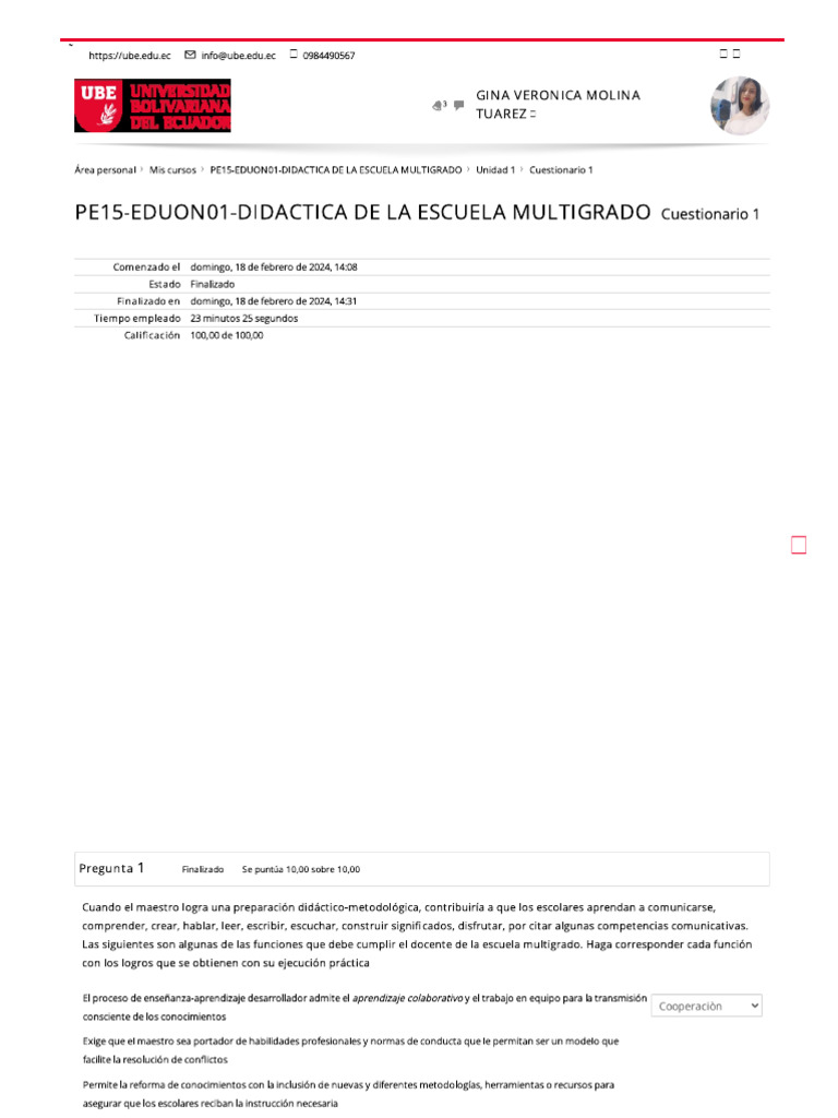 Questionnaire 1 - Review of The Attempt - EVA-UBE | PDF