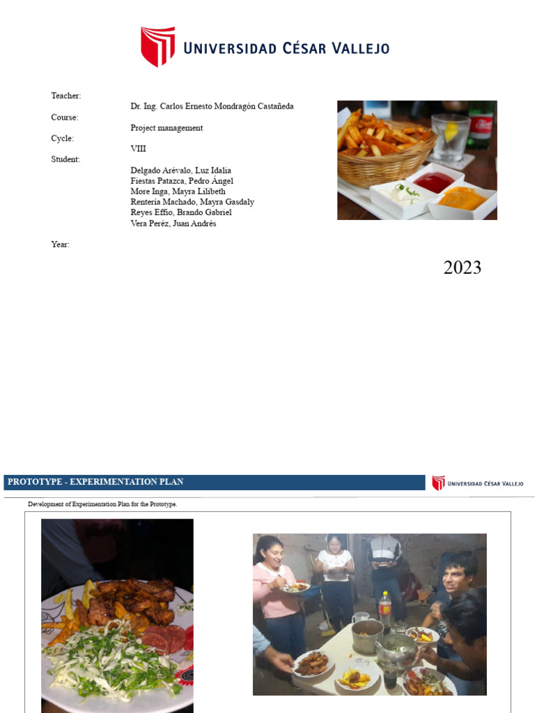 Prototype Development and Market Research Plan | PDF