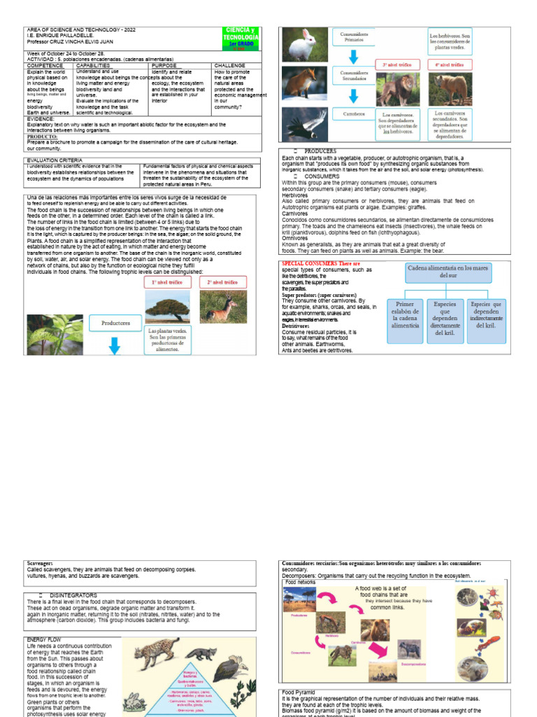 Food Chains and Ecosystem Dynamics | PDF | Food Web | Biomass (Ecology)