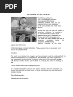 Old Man and the Sea: GCSE Extract | PDF | Art