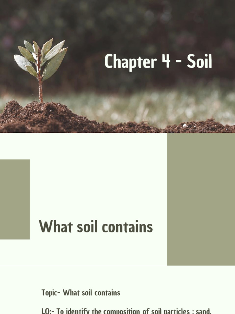 Soil Composition: Sand, Clay, Humus, Pebbles | PDF