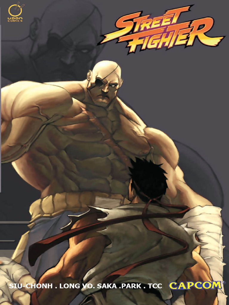 Street Fighter - 2302 | PDF