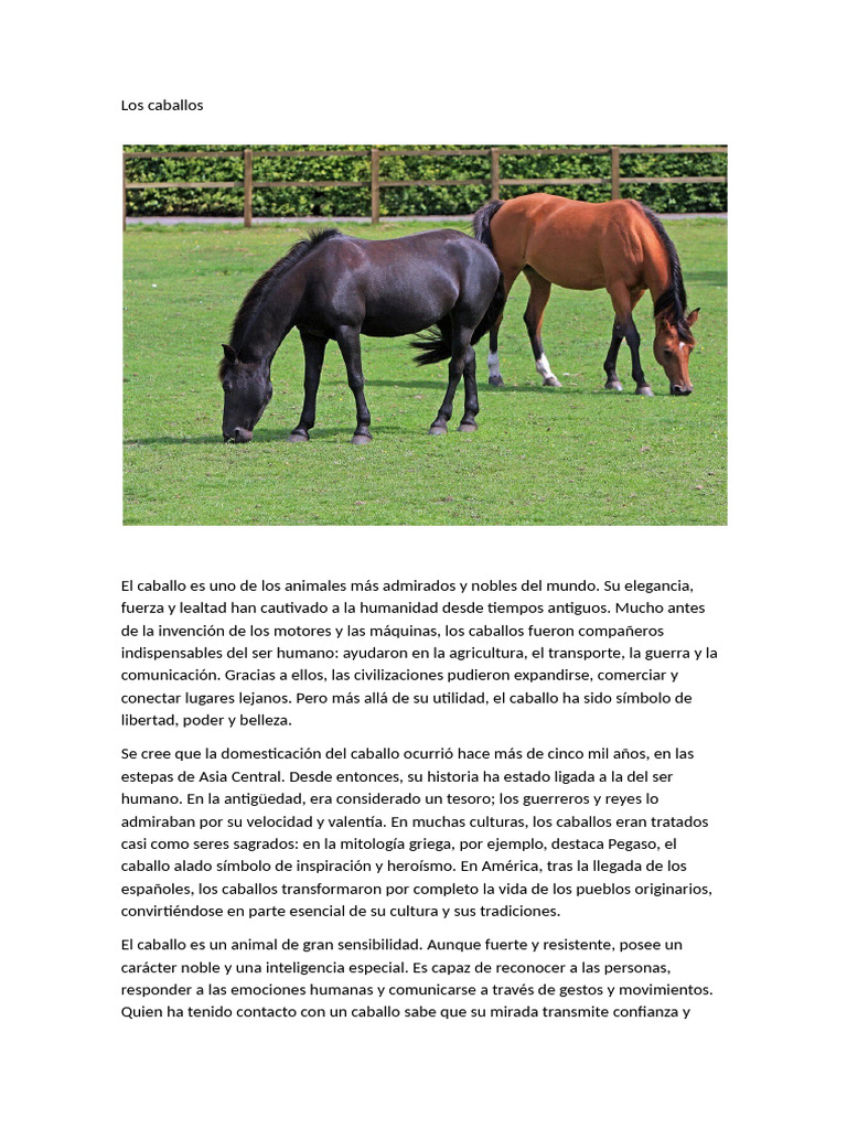 Historia y simbolismo del caballo | PDF | Caballos