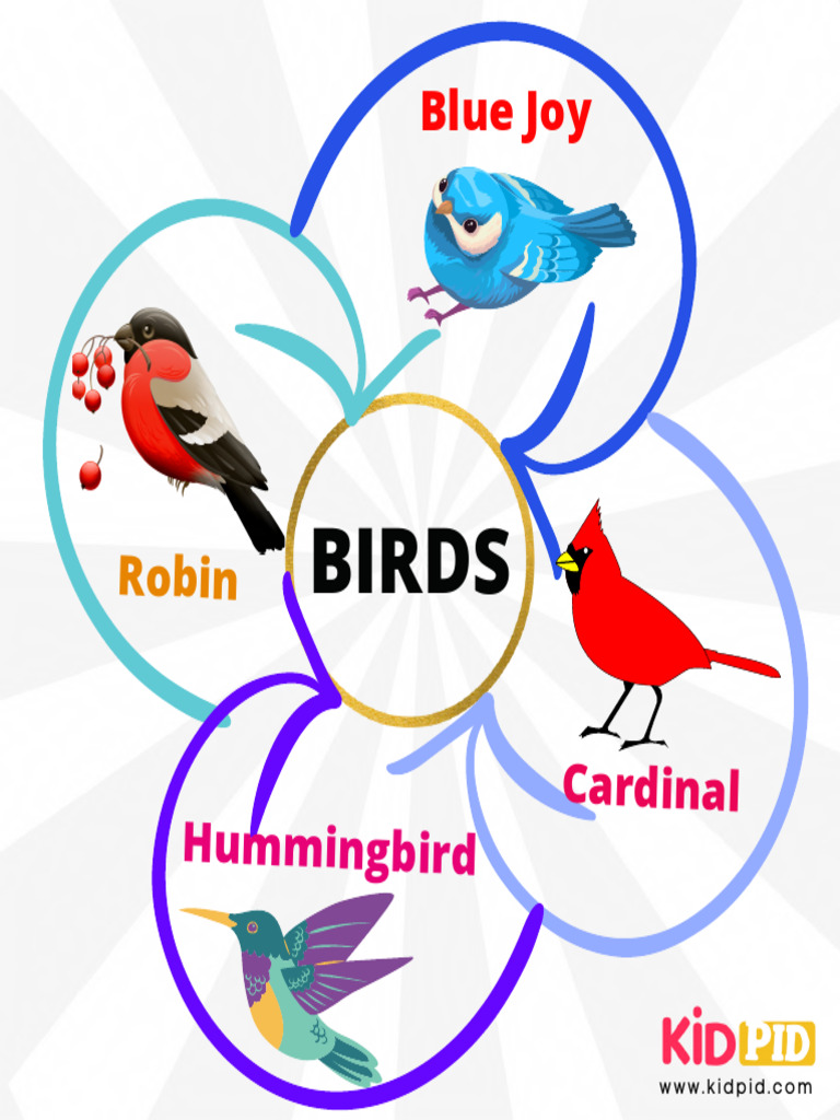 Birds and Insects Vocabulary For Kids 4zpajz | PDF