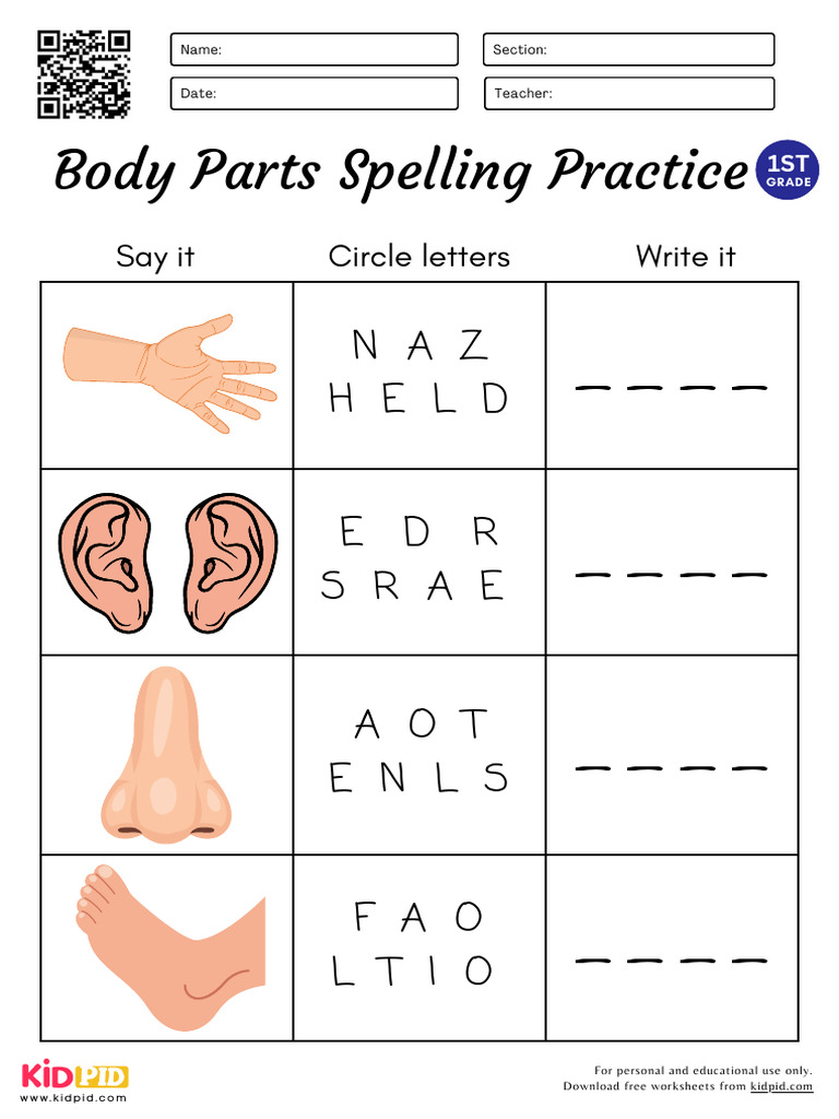 4 Letters Body Parts Spelling Circle and Write Worksheet For Grade 1 ...