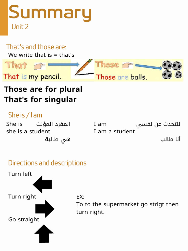 English Grammar Basics: Singular & Plural | PDF