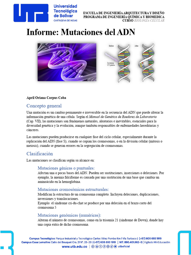 Mutaciones del ADN: Tipos y Efectos | PDF | Mutación | Adn