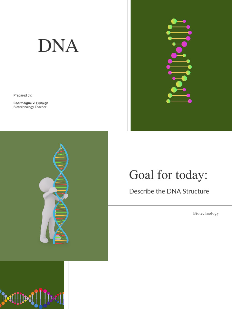 Understanding DNA Structure and Traits | PDF