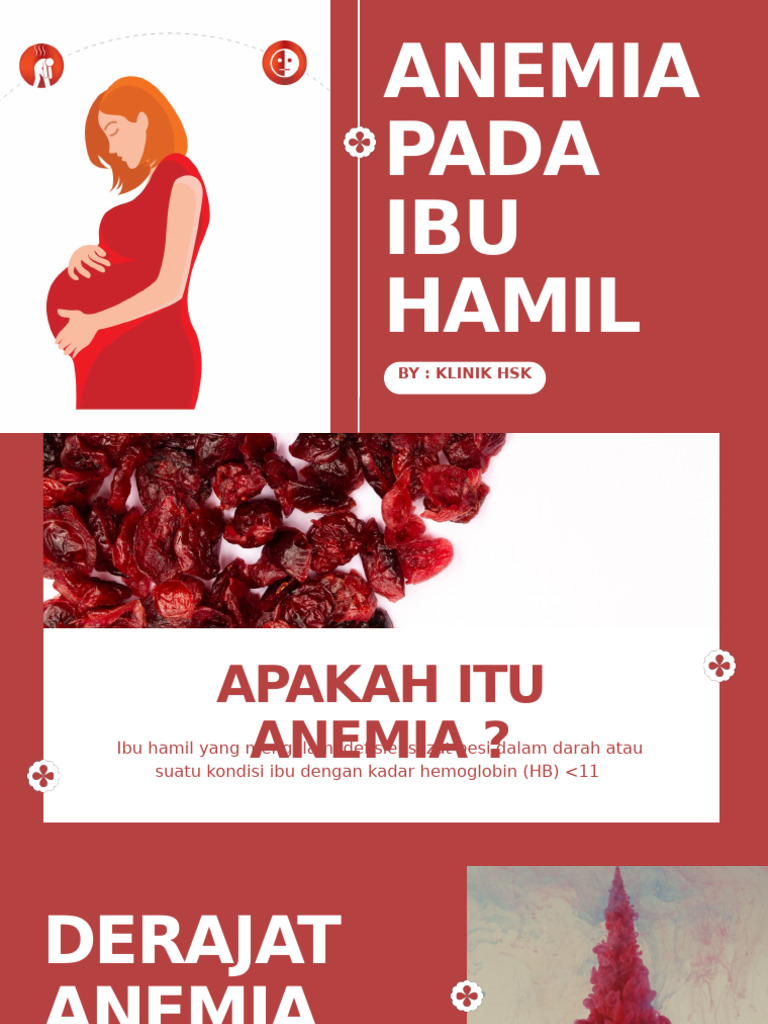 Anemia Pada Ibu Hamil | PDF