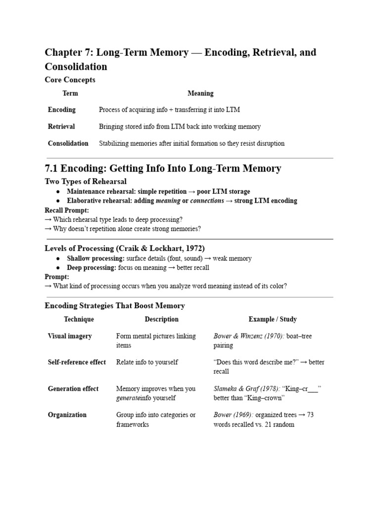 Chapter 7 - Study Sheet | PDF | Memory | Recall (Memory)