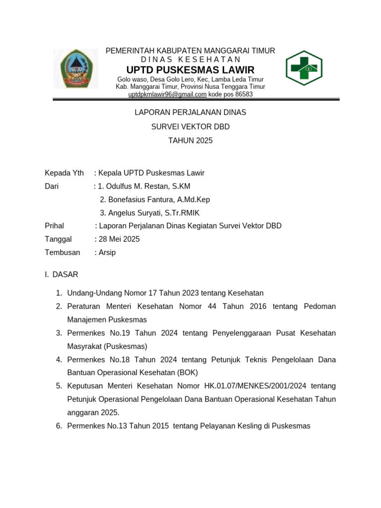 Laporan Survei Vektor DBD 2025 | PDF
