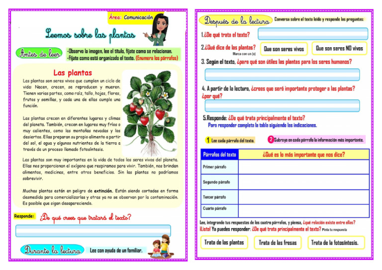 Ficha de Las Plantas Segun Su Utilidad | PDF