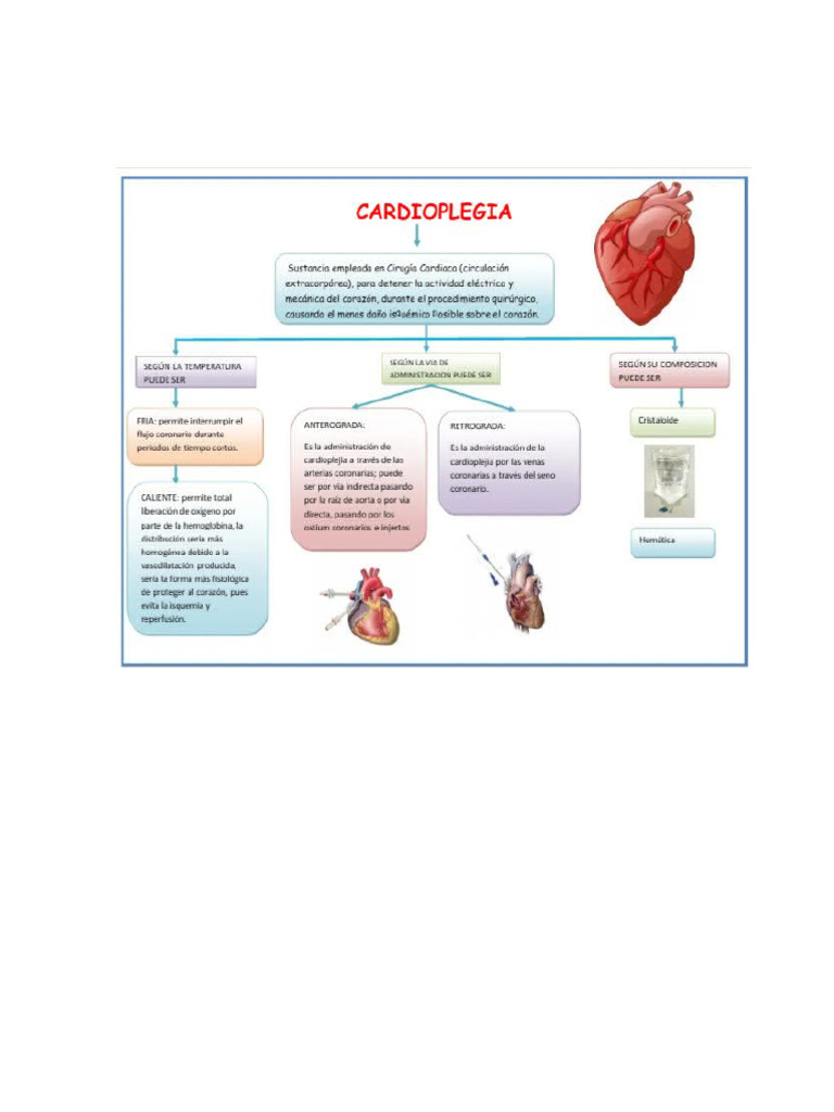 Cardio Dibujos | PDF