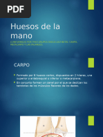Anatomía de los Huesos del Carpo | PDF | Mano | Sistema musculoesquelético