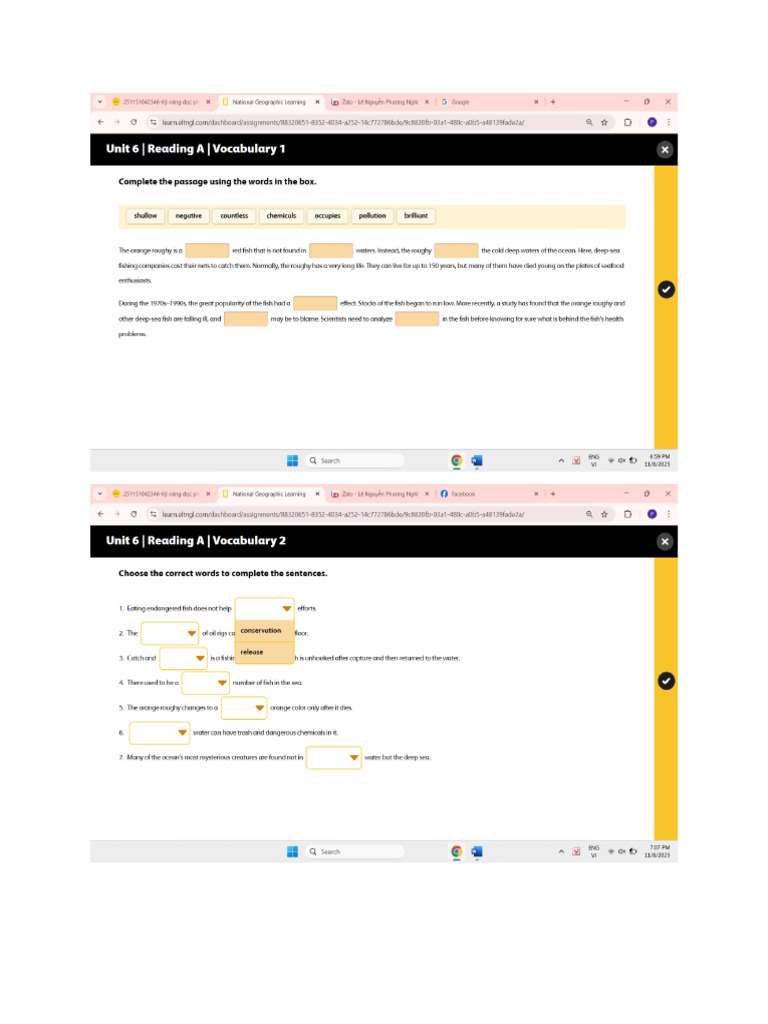Unit 6 Reading | PDF