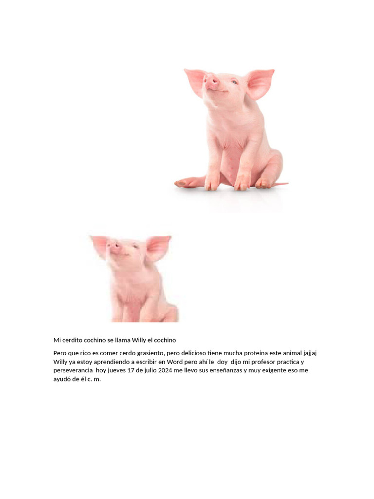 Willy el cerdito y su delicioso sabor | PDF
