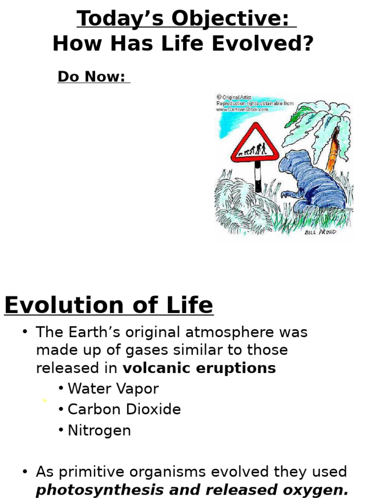 Evolution of Earth and Correlating Rocks | PDF | Fossil | Earth