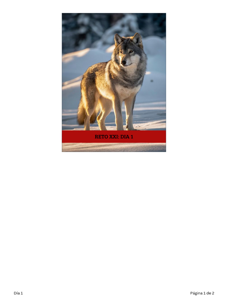 Día 1 - 20251108 - 011000 - 0000 | PDF
