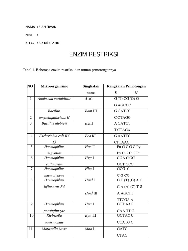 Jenis Jenis Enzim Restriksi | PDF