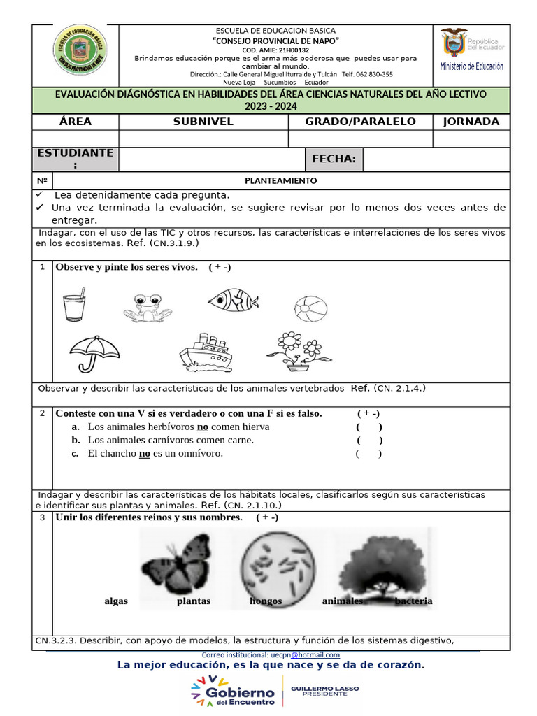 Evaluacion Diagnóstica de CCNN | PDF | Sistema circulatorio | Biología