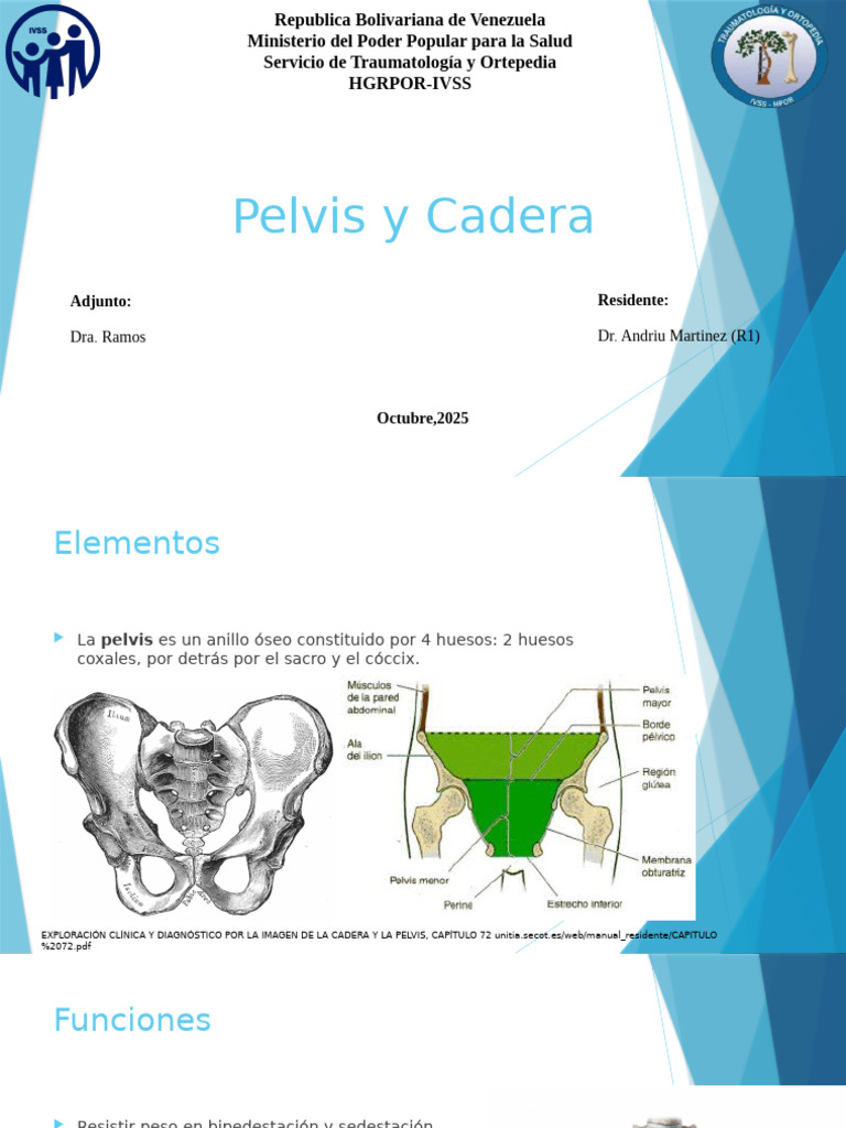 Pelvis y Cadera | PDF | Pelvis | Sistema esquelético