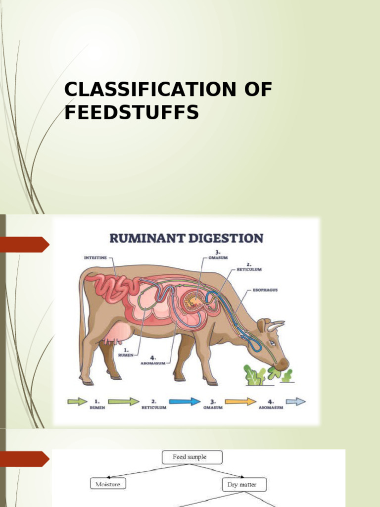 Classification of Animal Feedstuffs | PDF | Animal Feed | Dietary Fiber
