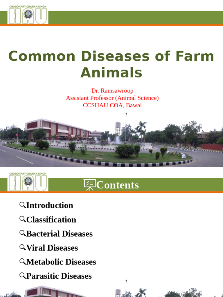 Common Farm Animal Diseases Guide | PDF | Anthrax | Tuberculosis