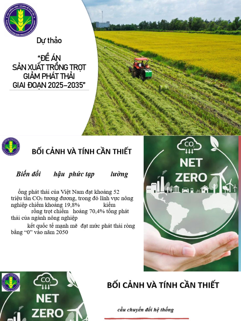 8.1. 2025 Jul 29 Du thao De an TT phat thai thap | PDF