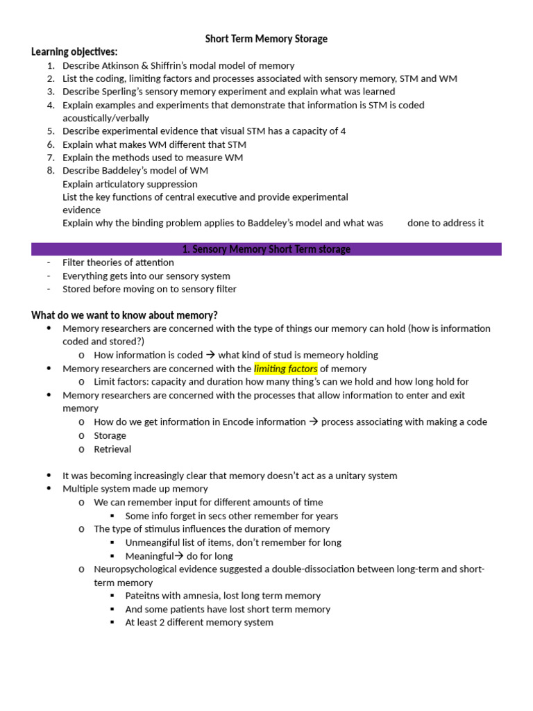 Understanding Short Term Memory Systems | PDF | Memory | Working Memory