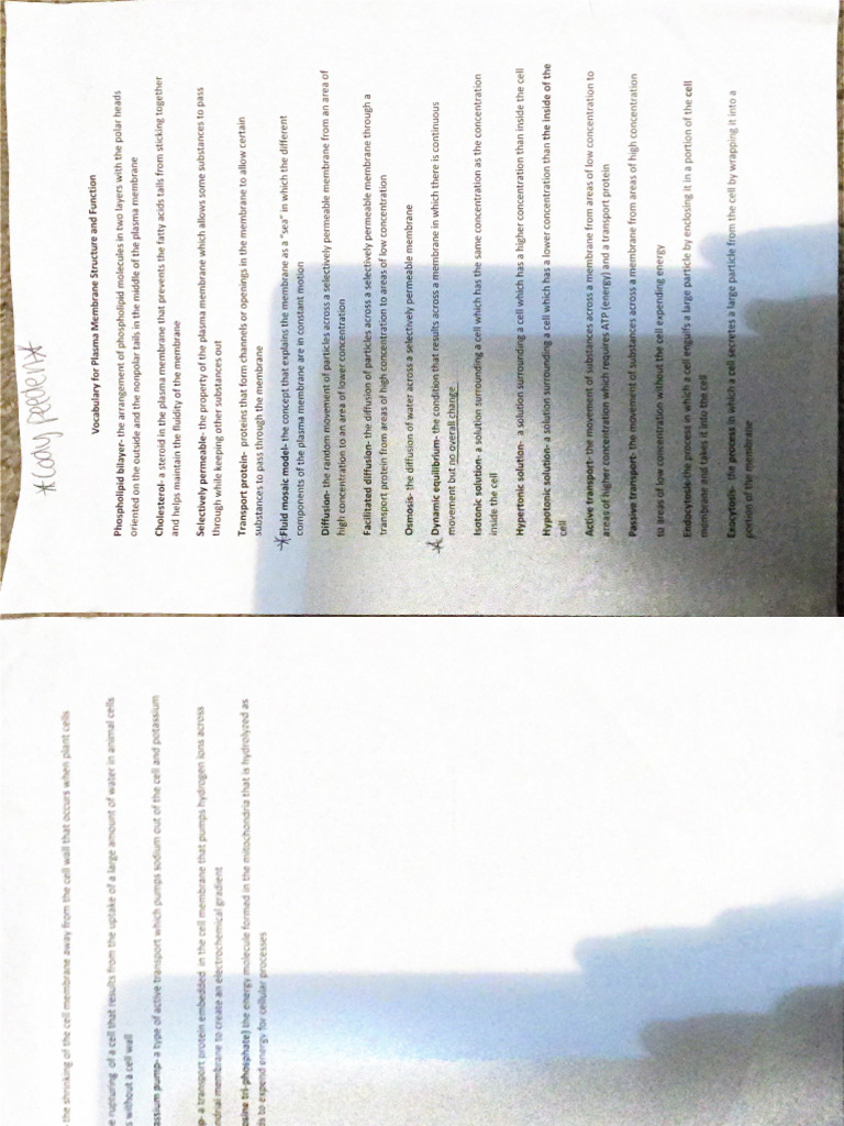 Scanned Document | PDF