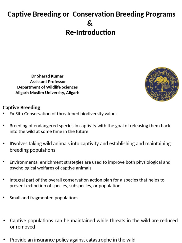 Captive Breeding and Reintroduction Strategies | PDF | Zoo | Endangered ...