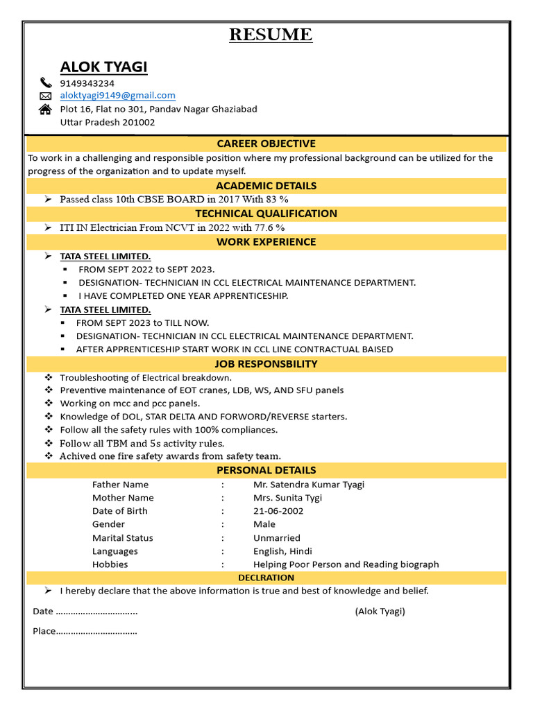 Alok Resume | PDF