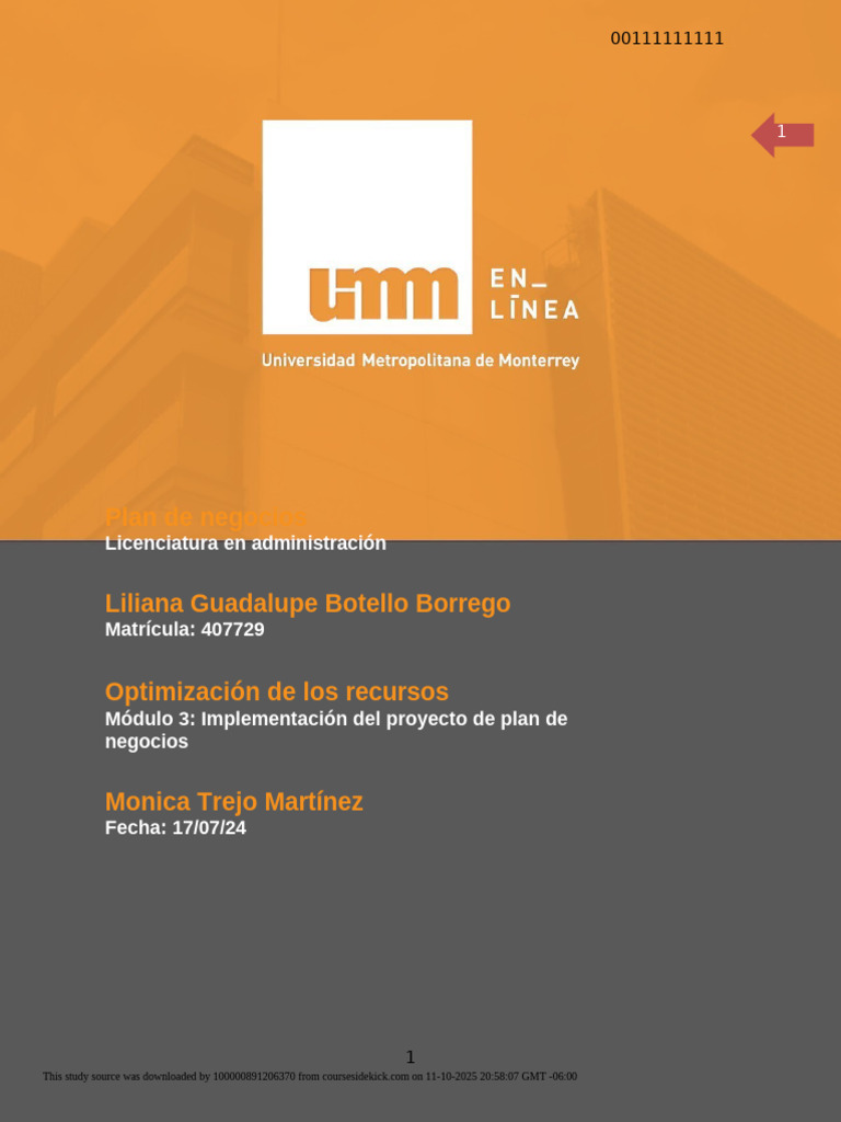 M Dulo 3. Actividad 3. Anal Sis de Caso. Optimizaci N de Los Recusos | PDF | Netflix | Economias