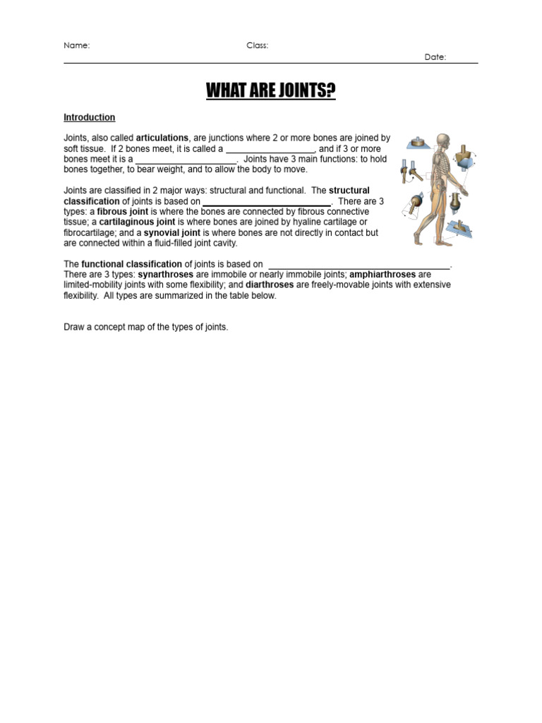 WS - What Are Joints WORD | PDF | Anatomical Terms Of Motion | Joint