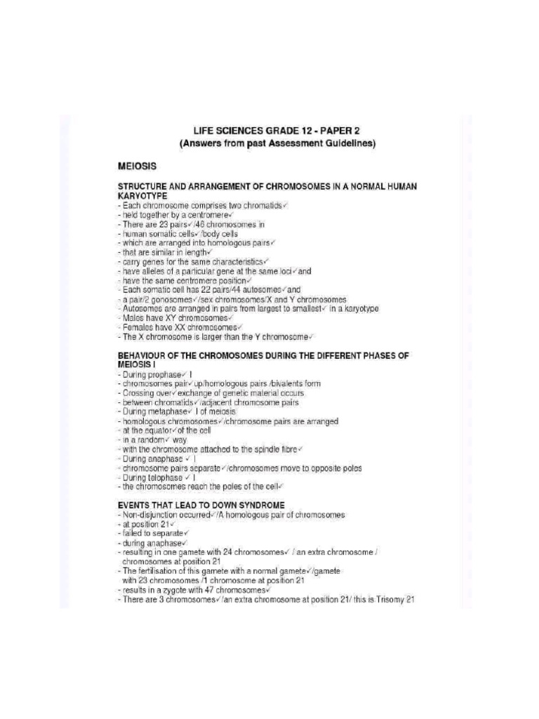 Life Sciences Paper 02 Processes | PDF